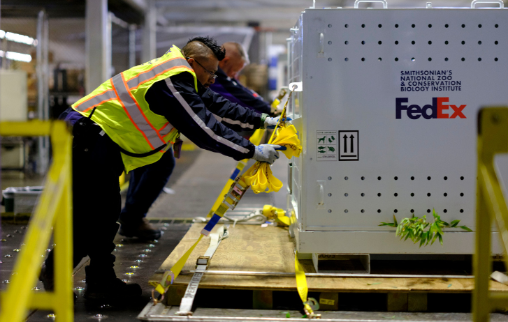 How To Ship A Giant Panda | FedEx Philippines