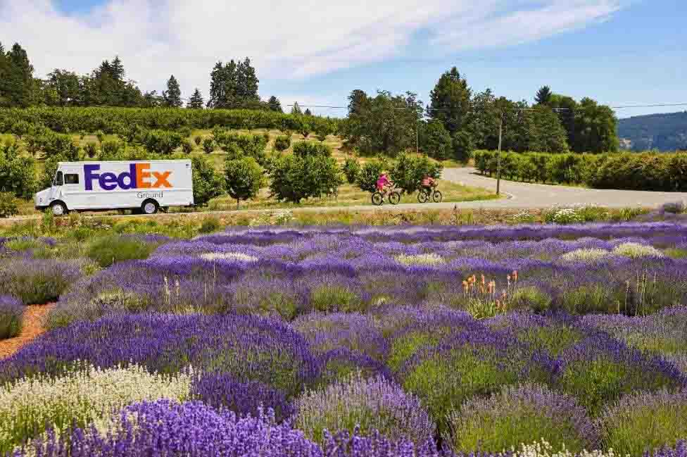 fedex express tracking id