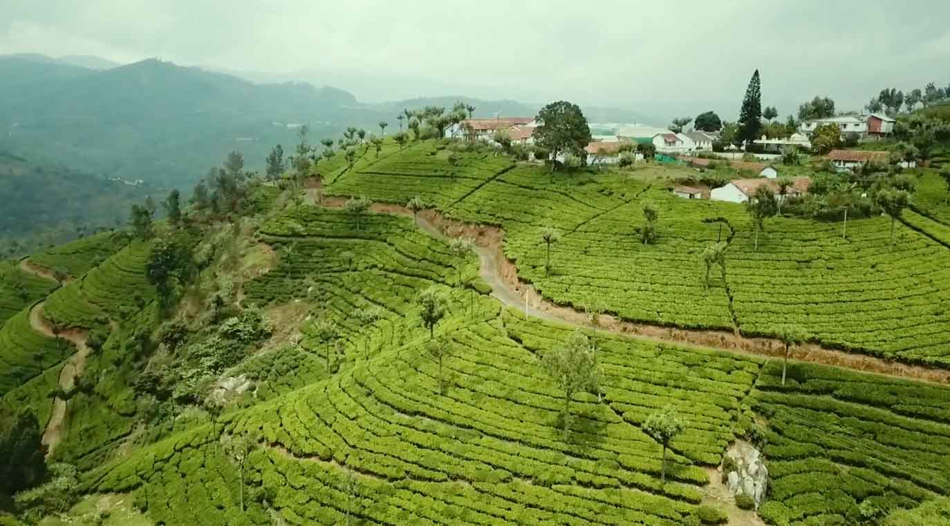 Trade Policy Perspectives | FedEx