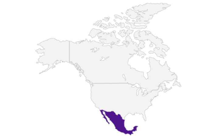 International Shipping for Ecommerce | FedEx